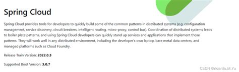 Spring Security Oauth21 最新版 110 整合 （基于 Springboot 310）gateway 完成授权