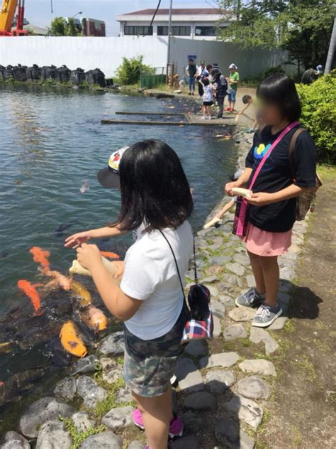 南郷水産センターへ行こう🐟 放課後等デイサービス てのひら