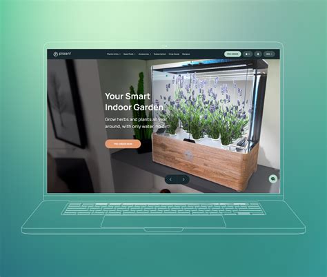 Smart Garden IoT Project Innowise