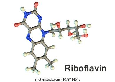 Riboflavin Images Stock Photos Vectors Shutterstock