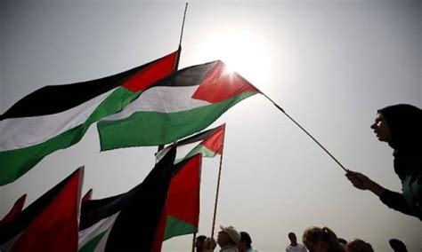 اليوم العالمي للتضامن مع الشعب الفلسطيني فلسطينيات في الأسر إنفوجراف