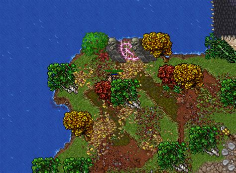 How To Combine Screenshots Tibia Decorations