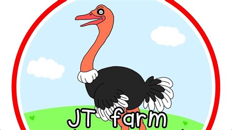 นกกระจอกเทศตัวน้อยความรู้เกี่ยวกับการฟักไข่ 080 7499614 Youtube