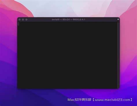 串口调试工具 Serial For Mac 2017 免激活 Mac软件俱乐部