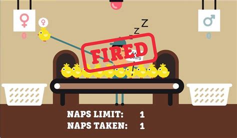 Sleepy Chicken Sexer Release Date Videos Screenshots Reviews On Rawg Sleepy Chicken Sexer Release Date Videos Screenshots Reviews On Rawg