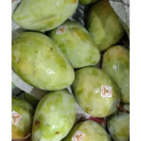 Jual MANGGA INDRAMAYU FRESH 1KG BUAH MANGGA INDRAMAYU SEGAR Shopee