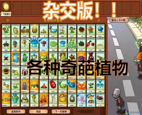 植物大战僵尸杂交版2 0 88最新版 程序员阿鑫 带你一起秃头