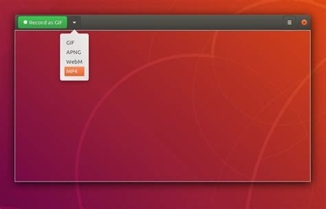 Animated  Recorder ‘peek 140 Released How To Install