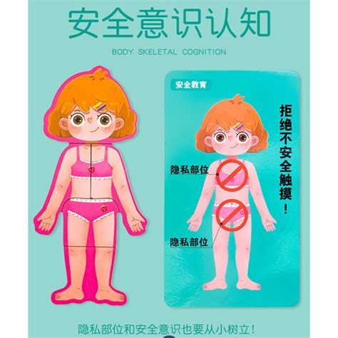 Body Structure Puzzle Girl T For Toys