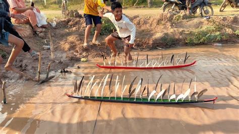 កាប្រកួតទូកស្លាបមាន់ គូរពិសេស 2025 ទូក ង Tuk Ngor Tv វត្តសាមគ្គីរង្សី ភូមិព្រែកតាសរ Youtube