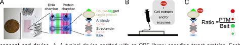 Figure 1 From Integrated Microfluidics For Protein Modification