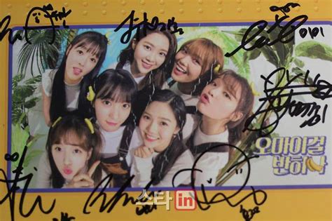 오마이걸은 왜 바나나 알러지 원숭이가 되었나 김현식의 서랍 속 Cd