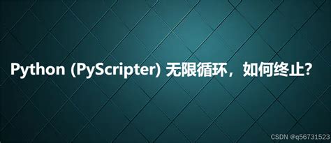 Python Pyscripter 无限循环，如何终止？python程序 为什么停止终端都停止不了 Csdn博客