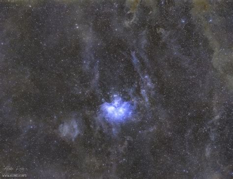 The Pleiades Wide Field Astrocat