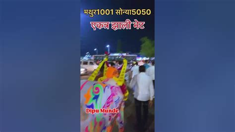 सोन्या आणि मथुर एकत्र झाली भेट ️😍 Bailgadasharyat Bailgada Mathur