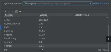 Conda安装到虚拟环境中的包在pycharm中不显示 pip下载的包都到了base环境中 Ubuntu20 04 pycharm卡在读取已