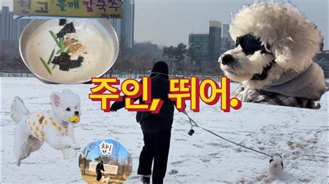 Vlog 주인 뛰어 ㅣ나옴스튜디오ㅣ문암생태공원ㅣ율봉근린공원ㅣ걱정인형만들기ㅣ현고들깨수제비ㅣ감기환자 Youtube