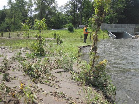 Melrose Terrace Floodplain Restoration