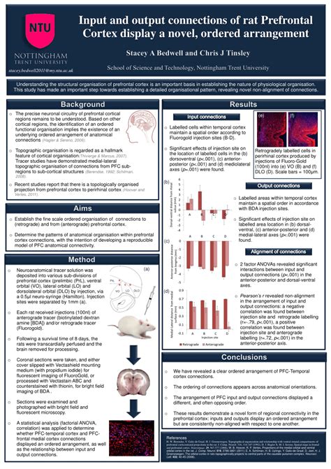Pdf Input And Output Connections Of Rat Prefrontal Cortex Display A Novel Ordered Arrangement