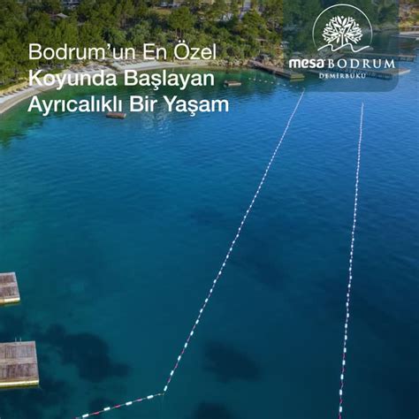 Probi On Linkedin Structuraldesign Structuralengineering Statik Byprobi