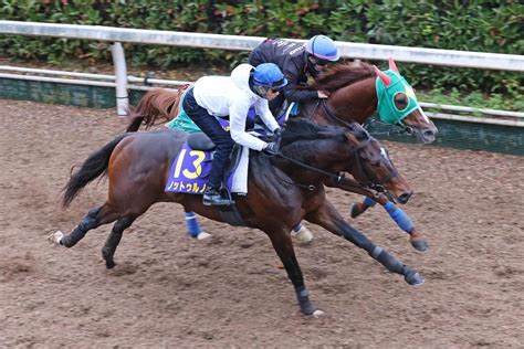 【毎日ベスト3】ノットゥルノ武豊騎手「抜群の動き」／追い切り激アツ談話ベスト3 毎日ベスト3 競馬コラム写真ニュース 日刊スポーツ