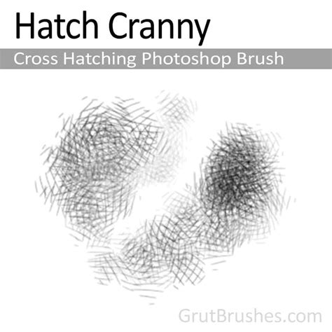 Hatch Cranny Photoshop Cross Hatching Brush