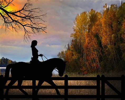 景观 自然 马 Pixabay上的免费照片 Pixabay