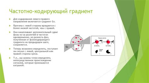 Основы МРТ презентация онлайн
