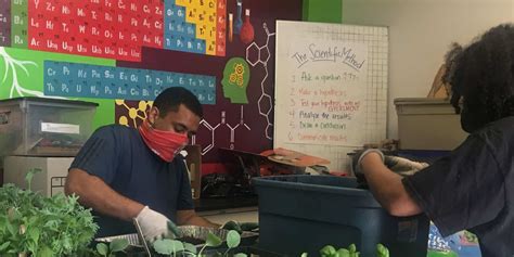 Felege Hiywot Center Bug Infestation Experiment
