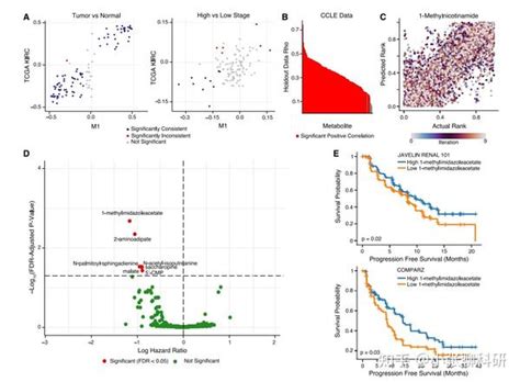 肿瘤代谢组学分析不会做？带你深度细节解析29分文章思路 知乎