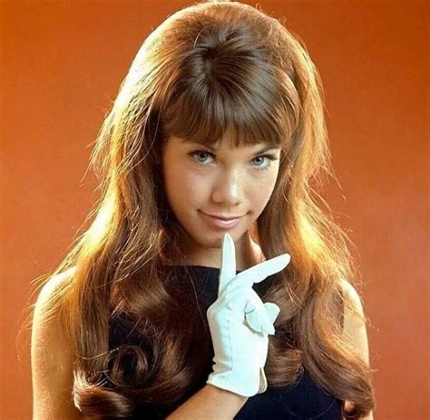 Stunning Photos Of A Young Barbi Benton In The 1970s And 1980s Rare