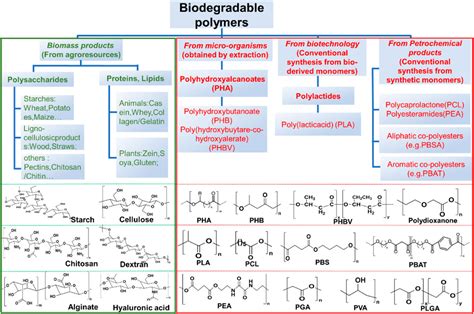 Biodegradable Polymer Wikipedia 43 Off
