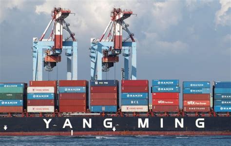 Yang Ming Eyes Higher Contract Rates With A Focus On The Transpacific
