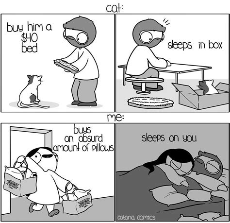 Catana On Instagram “thanks For Being Comfy Catanacomics • We Released A New Youtube Video