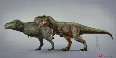 Tyrannosaurus By Mariolanzas On Deviantart