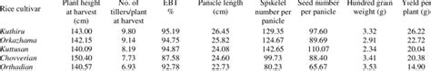 Yield Attributing Characters Of Five Local Rice Cultivars Download Table