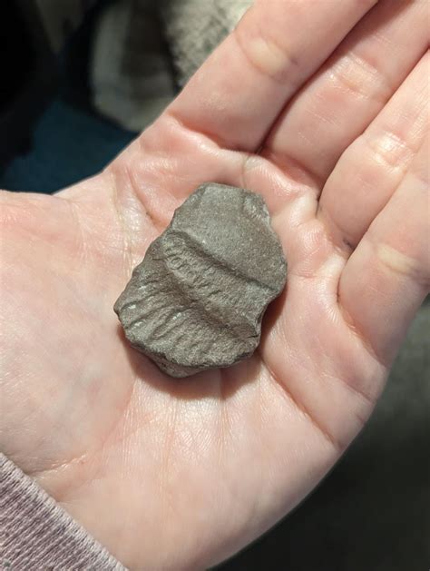 Is This A Fossil Impression Or Just Weird Erosion Found In Va Usa R Fossilid