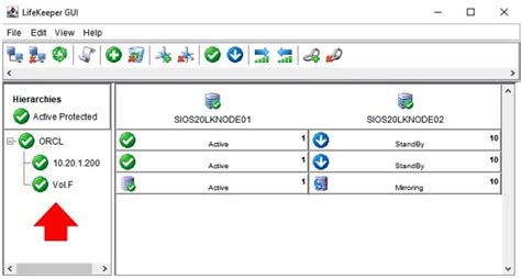 Protecting Oracle Lifekeeper For Windows Live 871