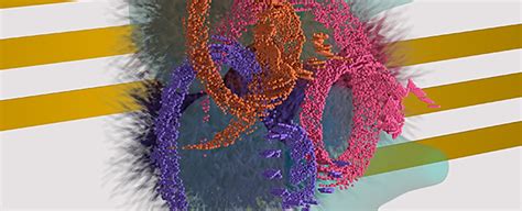 Physicists Detect Signs Of Elusive Form Of Magnetism Predicted To Exist