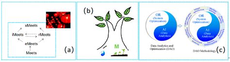 Processes | Free Full-Text | Evolutionary Process for Engineering ...