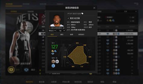 信誉积分不够排位，满突杜兰特，立棍单打无敌。nba2kol2全区全服全区全服立信电竞 淘宝最安全稳定的租号平台（友情提示