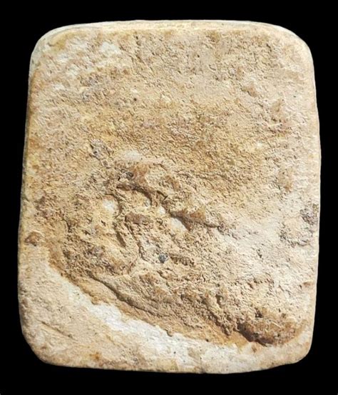 พระพิมพ์ขี่เม่นหลวงพ่อปาน หลวงพ่อสงวนวัดใผ่พันมือ Ennxo