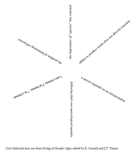 Diagram Madeleine Wattenberg