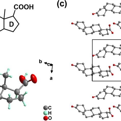 A Schematic Diagram Of Molecular Structure Of 17β Tca Consisting Of