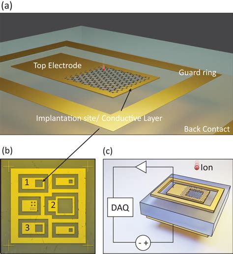 A Schematic Of A Single Ion Detector The Metal Top Electrode
