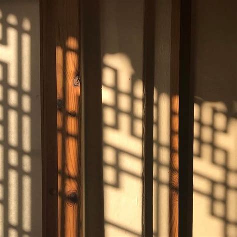 Monday Morning Shadows ☀️ 월요일 아침의 그림자 즐거운 한주의 시작 한옥 한지 창살 빛