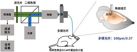 光纤记录技术 光纤光度测定 知乎