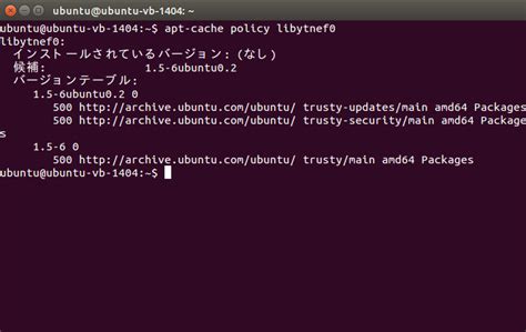 Ubuntu 1404 その76 Libytnefにクラッシュや機密情報漏洩の脆弱性・今すぐアップデートを Kledgeb