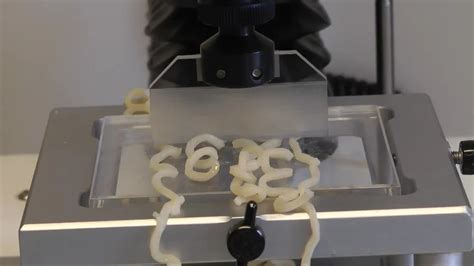 Texture Analyzer Sms Texture Analyzer Wholesale Trader From Noida