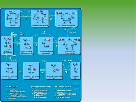 به نام پروردگار Ppt Download